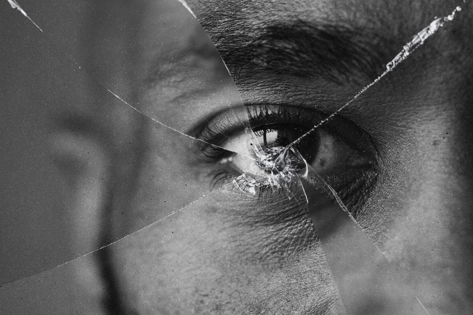 Complot tegen de waarheid - Hannah Arendt Instituut